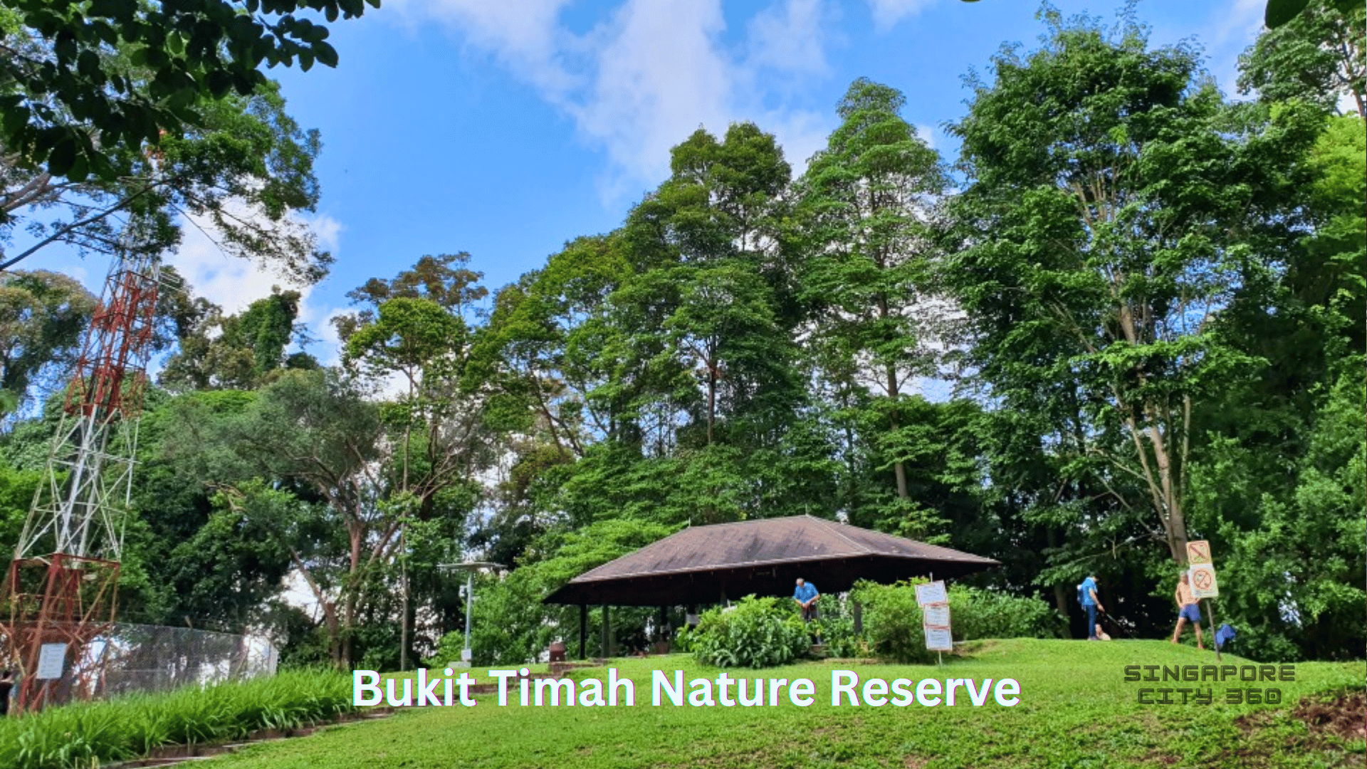 Discover the Best Nature Parks & Reserves in Singapore for Your Next Escape