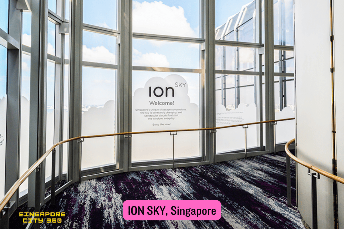 The Ultimate Guide to Orchard Road: Shopping and Dining in Singapore